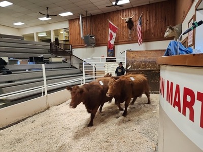 Rosehill Auction Service Ltd.