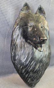 Cash & Carry Auction